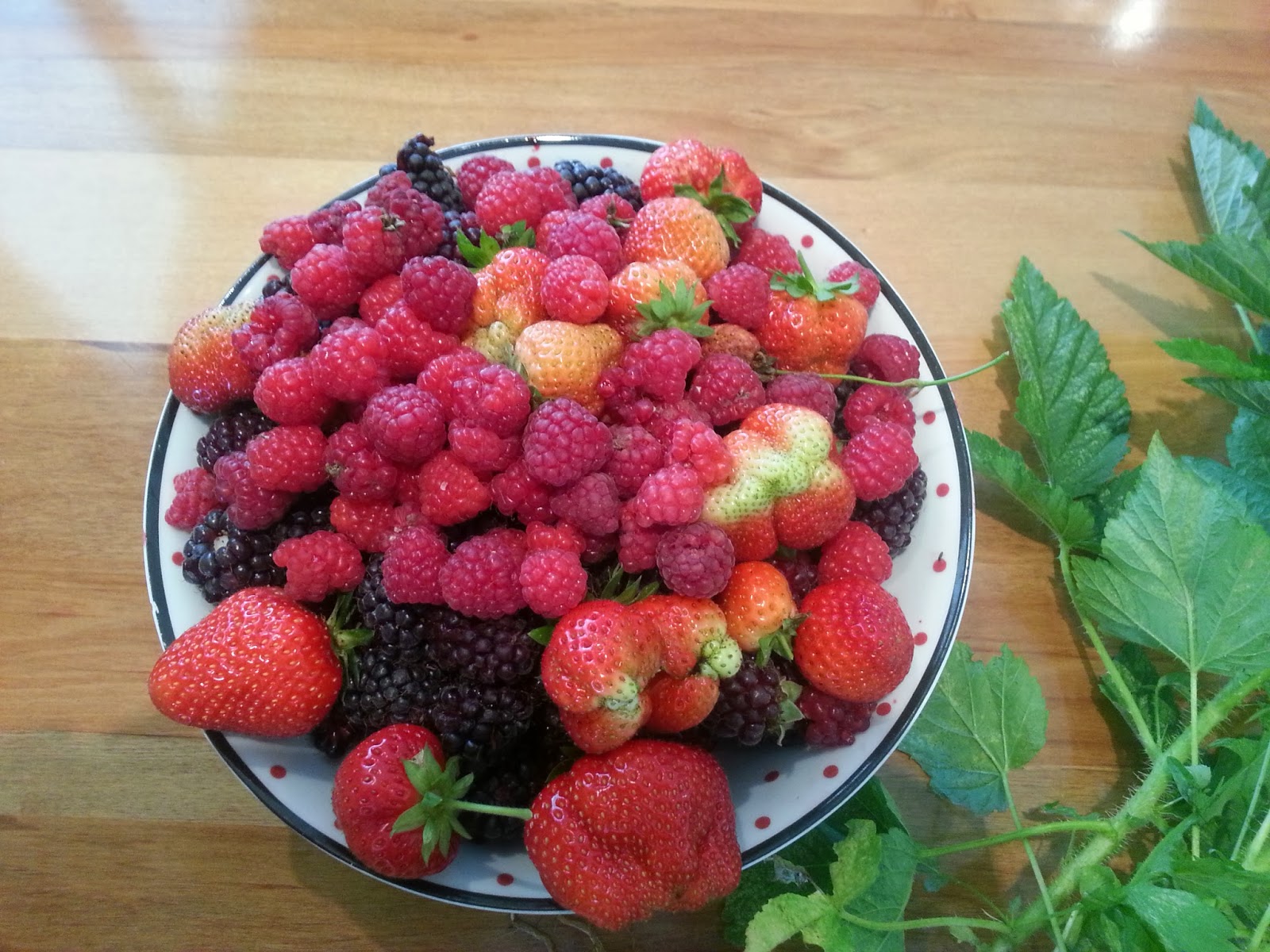 Gardening in Amberley: The Fruits of our Labours - rewarded with ...